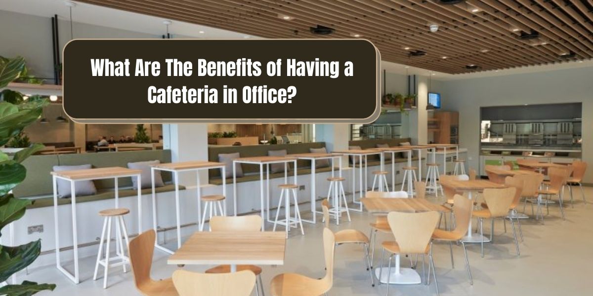 Cafeteria And Company at Timothy Mitchell blog